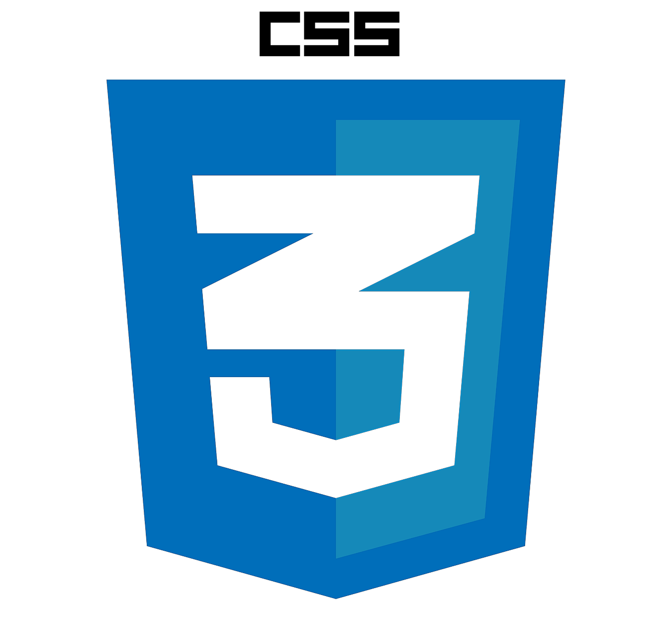 Ehtasham Naqui - Web Developer, Programmer, AI Enthusiast