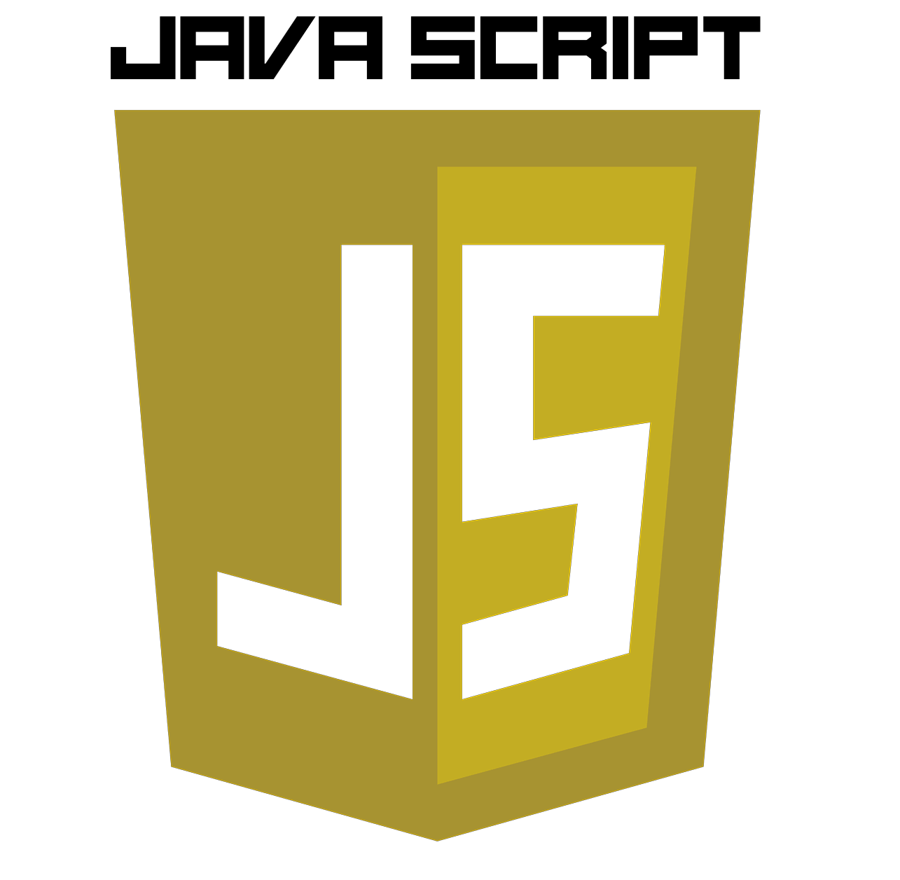 Ehtasham Naqui - Web Developer, Programmer, AI Enthusiast